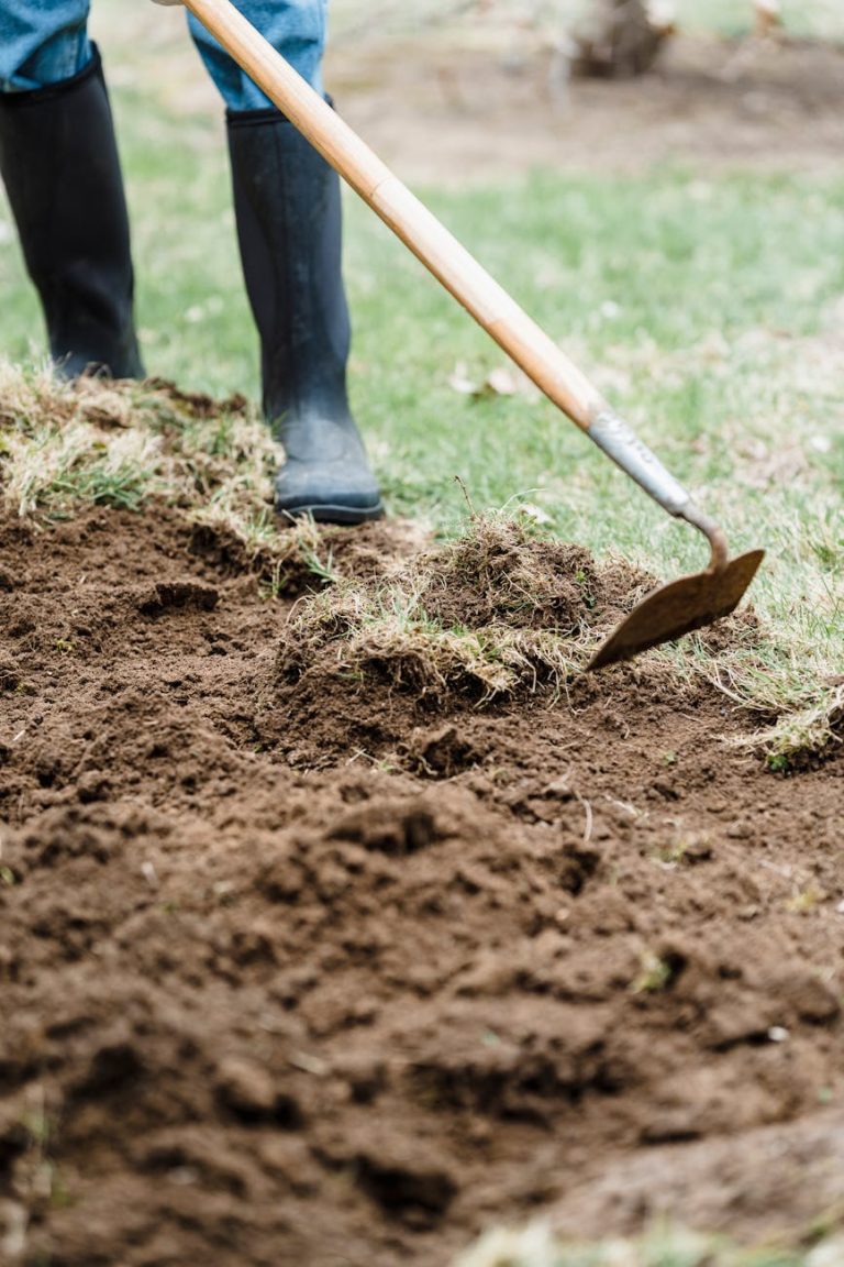 Tillage in Agriculture: Types, Importance, Implements - MN E-Learning Tillage in Agriculture: Types, Importance, Implements - MN E-Learning