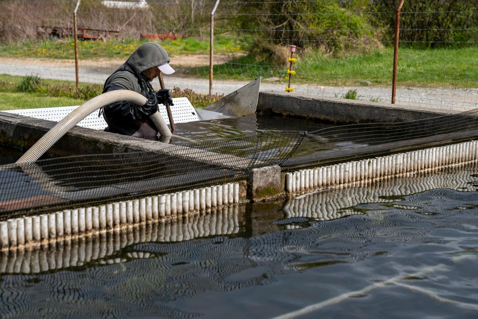 Types of Fish Farming: Pond, Cage, and Recirculating Systems - MarNat ...